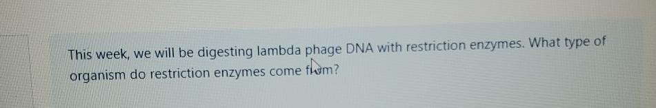 Solved This Week We Will Be Digesting Lambda Phage Dna With 5602