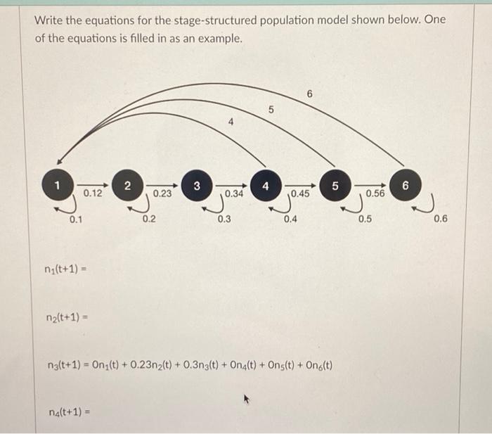 Solved Write The Equations For The Stage Structured