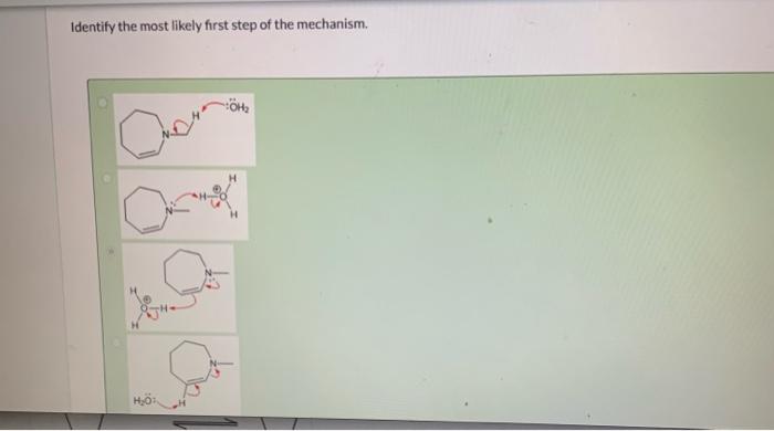Solved Current Attempt in Progress Draw a plausible | Chegg.com