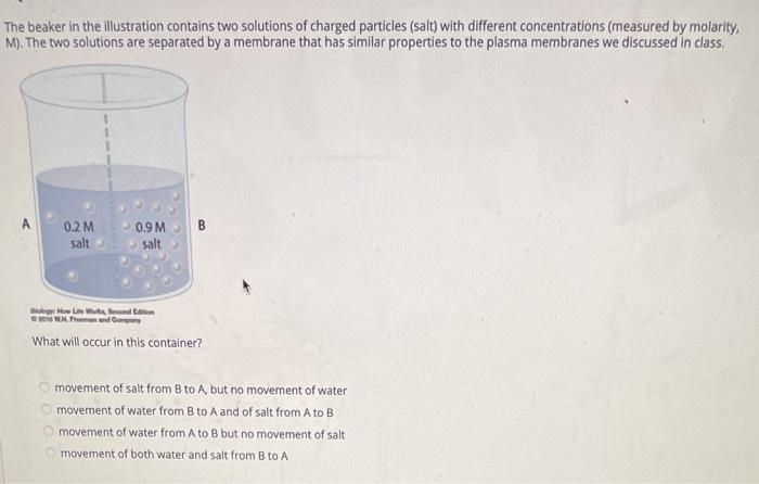 Solved The beaker in the illustration contains two solutions | Chegg.com