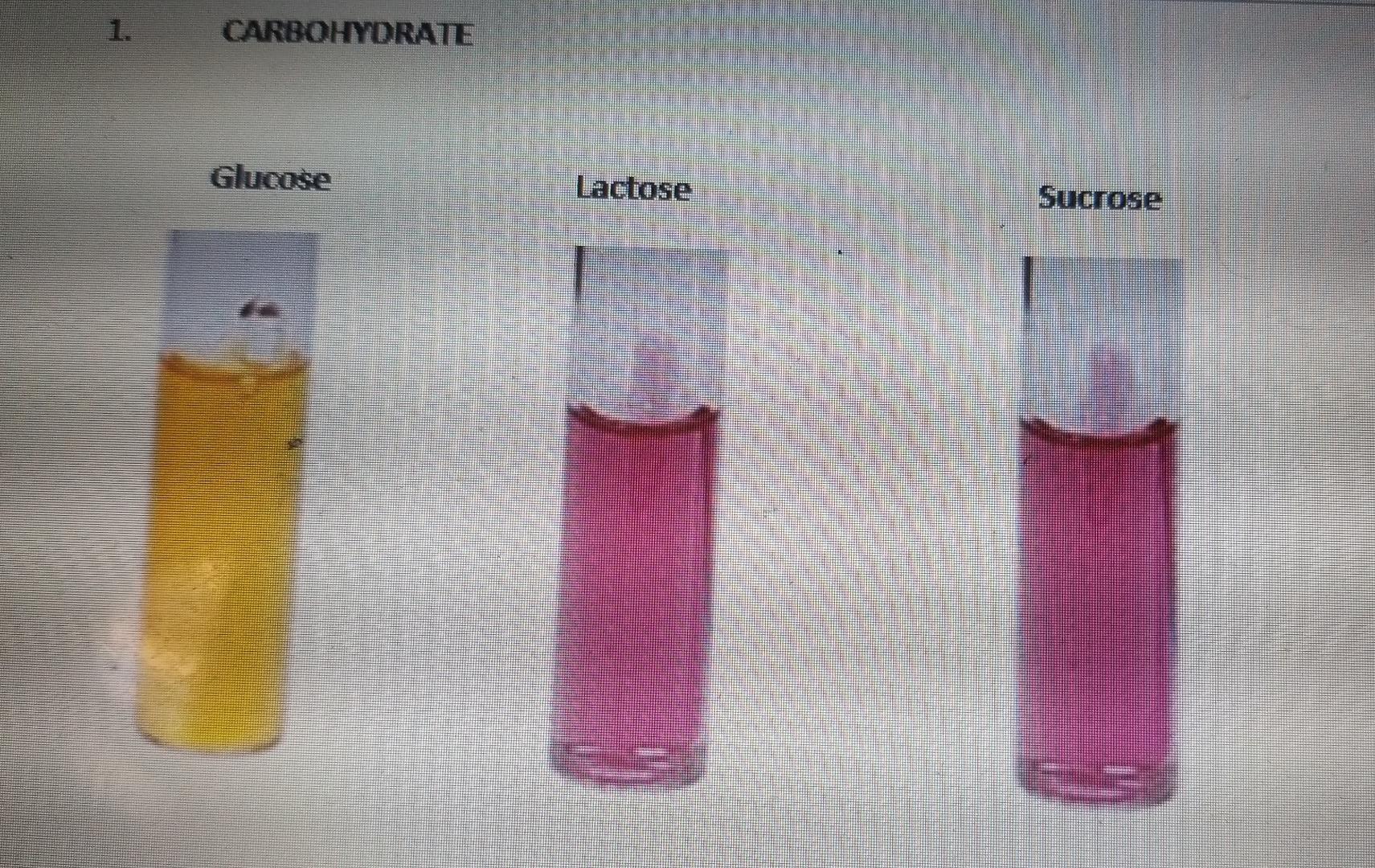 Solved this is the result of carbohydrate fermentation | Chegg.com