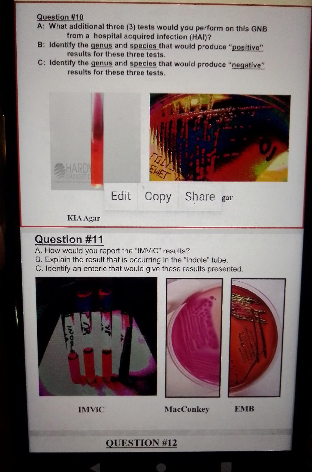 Solved Question #1 A B C D E Nitrate reagent A & B has been | Chegg.com