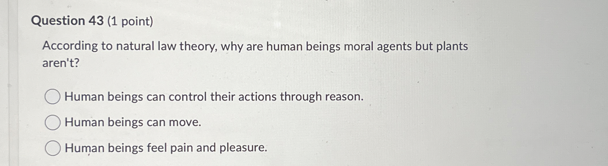 Solved Question 43 (1 ﻿point)According to natural law | Chegg.com
