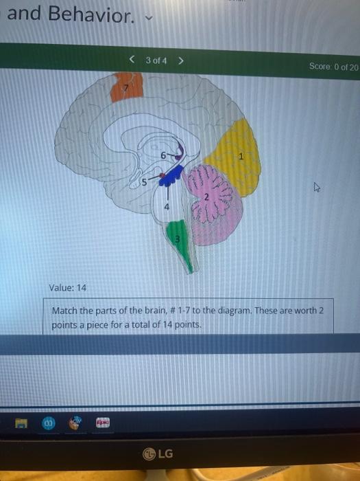 Solved and Behavior. - Value: 14 Match the parts of the | Chegg.com