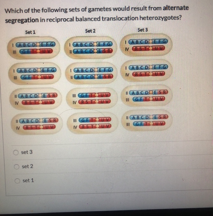Solved Which of the following sets of gametes would result | Chegg.com
