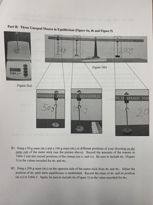 Solved Torque and Rotational Equilibrium Purpose: To study | Chegg.com