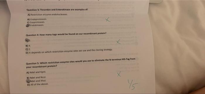Question 3: Thrombin and Enterokinase are examples of | Chegg.com