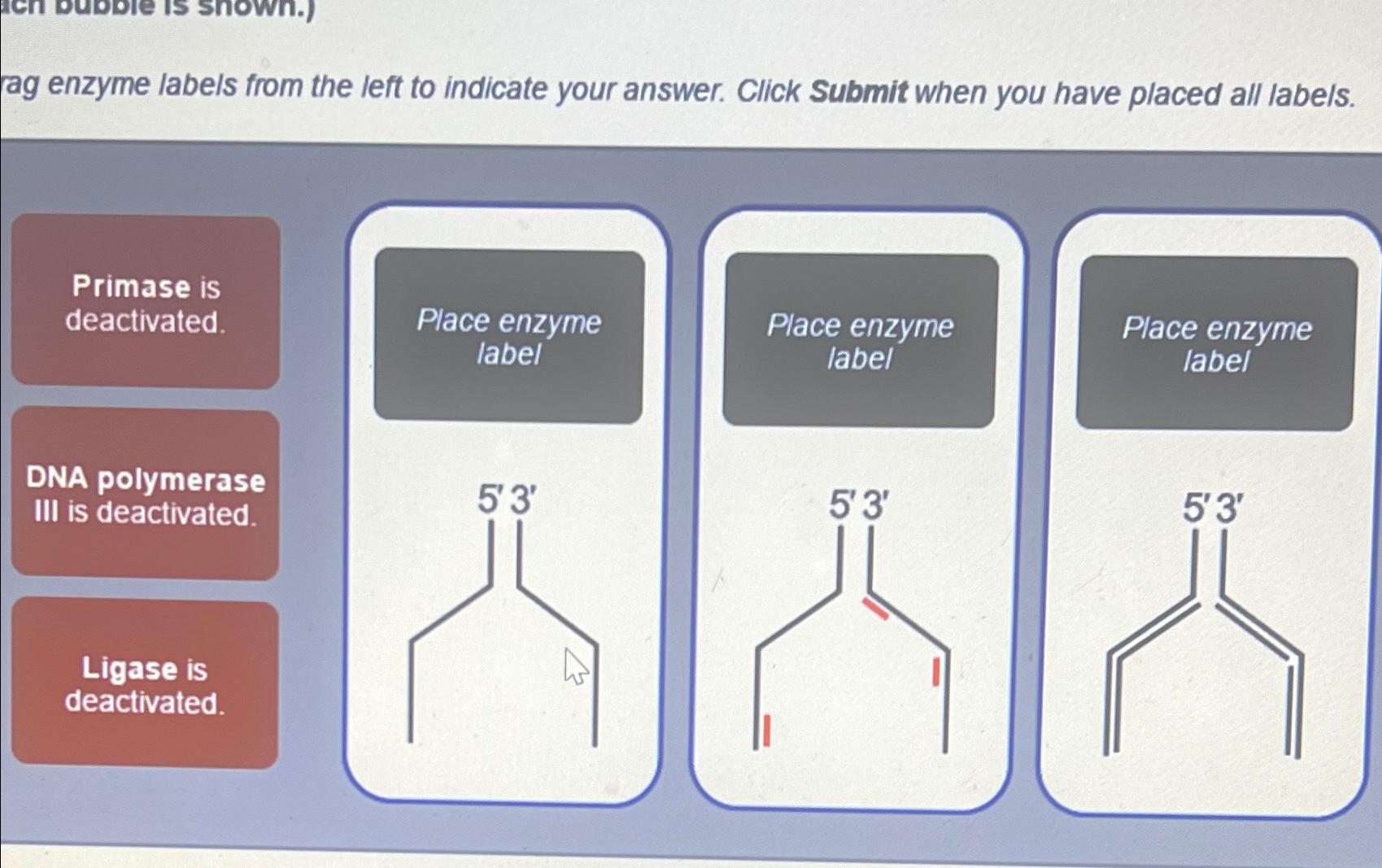 Solved rag enzyme labels from the left to indicate your | Chegg.com
