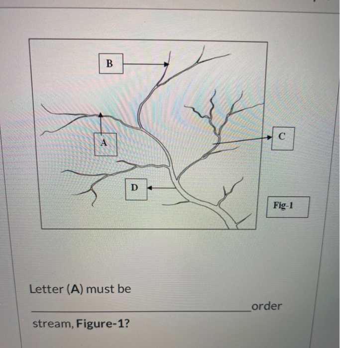 Solved B Y C A D+ Fig.1 Letter (A) must be order stream, | Chegg.com