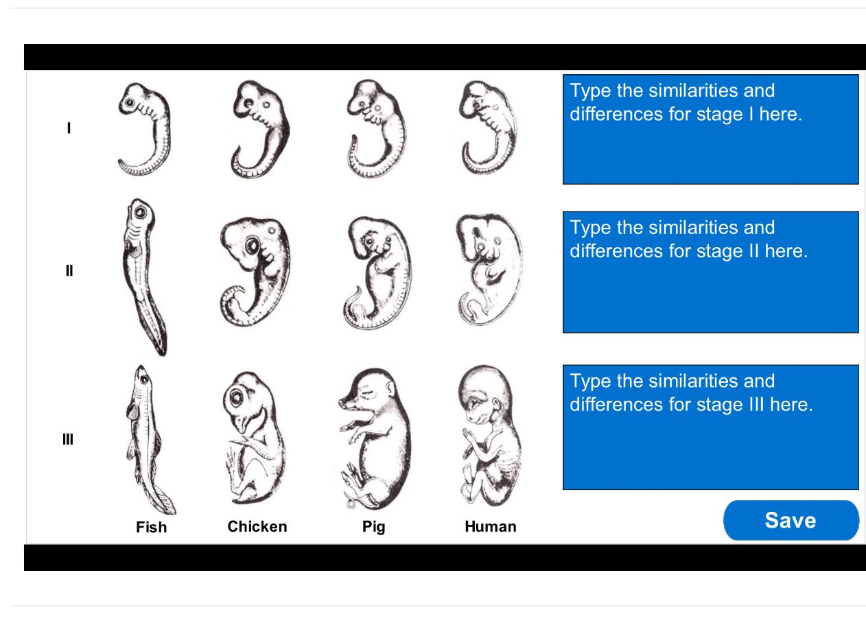 Solved What are the differences in embryotic development | Chegg.com