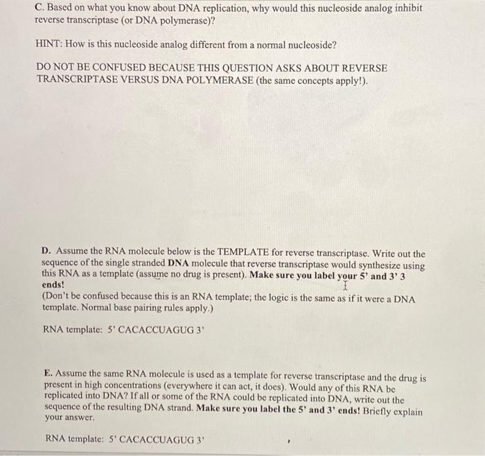 C. Based on what you know about DNA replication, | Chegg.com