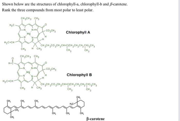 Solved Shown below are the structures of chlorophyll-a, | Chegg.com