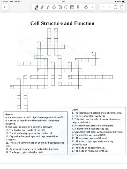 Solved Cell Structure and Function Across 4. A membrane sac | Chegg.com