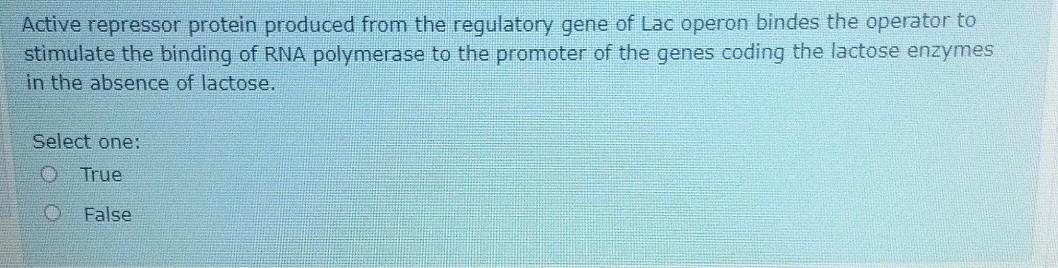 Solved Active repressor protein produced from the regulatory | Chegg.com