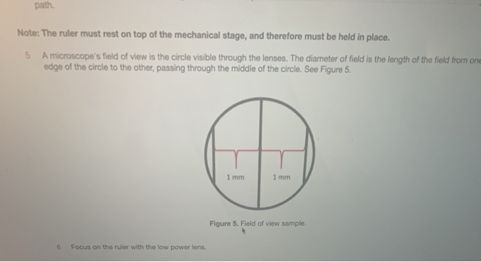 6 Focus on the ruler with the low power lens. Note: | Chegg.com