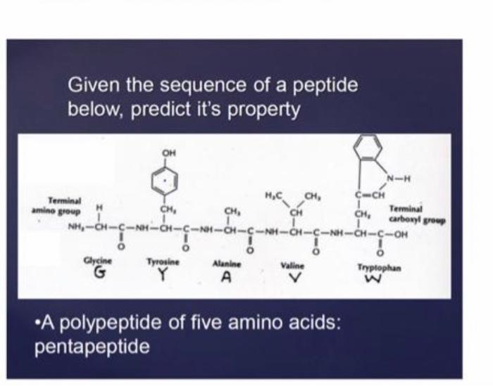 Solved Given the sequence of a peptide below, predict it's | Chegg.com