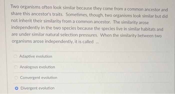 Solved Many species look similar because they inherited | Chegg.com
