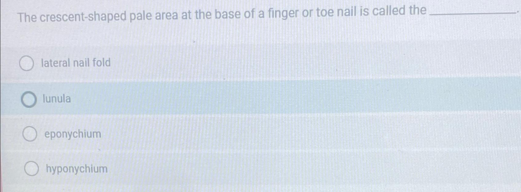Solved The crescent-shaped pale area at the base of a finger | Chegg.com