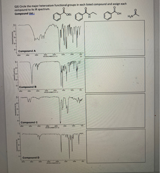 Solved Q3) Circle the major heteroatom functional groups in | Chegg.com