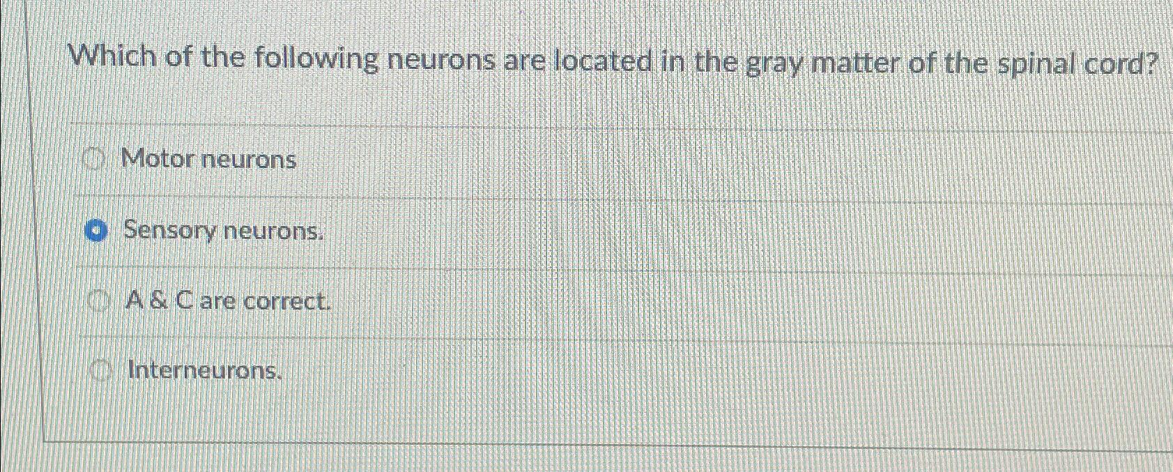 Solved Which of the following neurons are located in the | Chegg.com