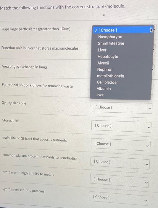 Solved Match the following functions with the correct | Chegg.com