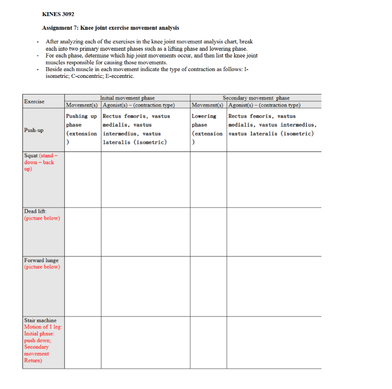 Solved KNEE joint exercise movement analysis After analyzing | Chegg.com