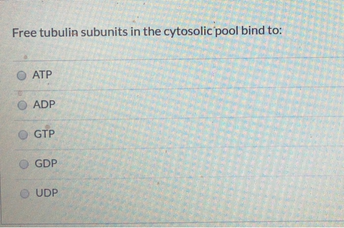 Solved Free tubulin subunits in the cytosolic pool bind to: | Chegg.com