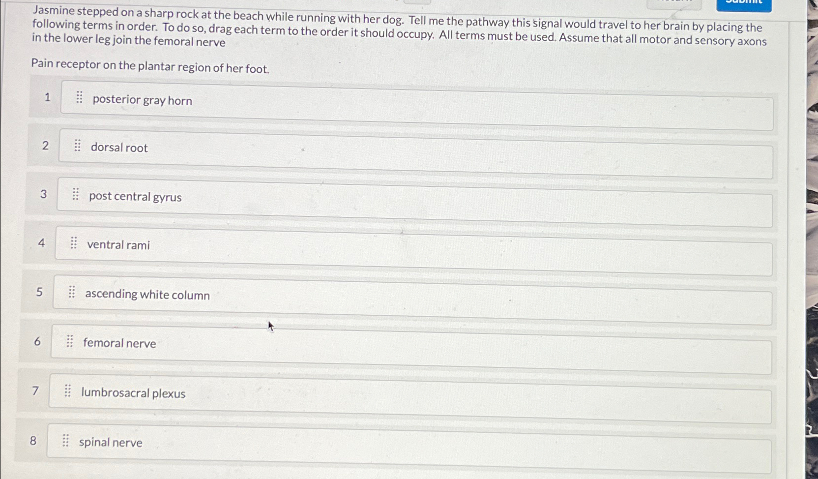 Solved Jasmine stepped on a sharp rock at the beach while | Chegg.com