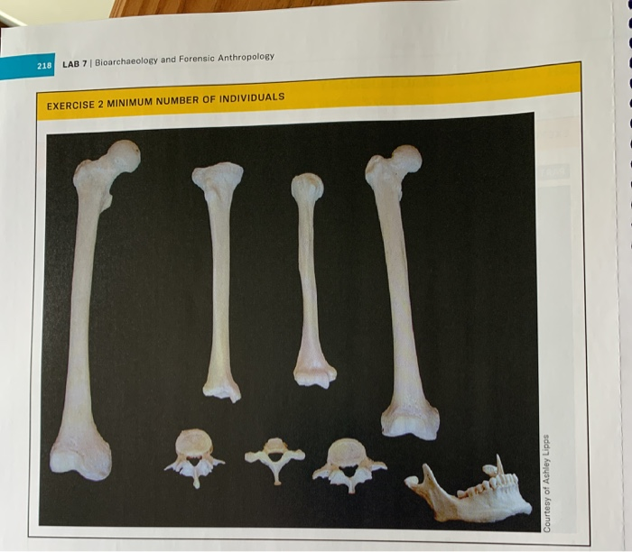 EXERCISE 2 MINIMUM NUMBER OF INDIVIDUALS Work in a | Chegg.com
