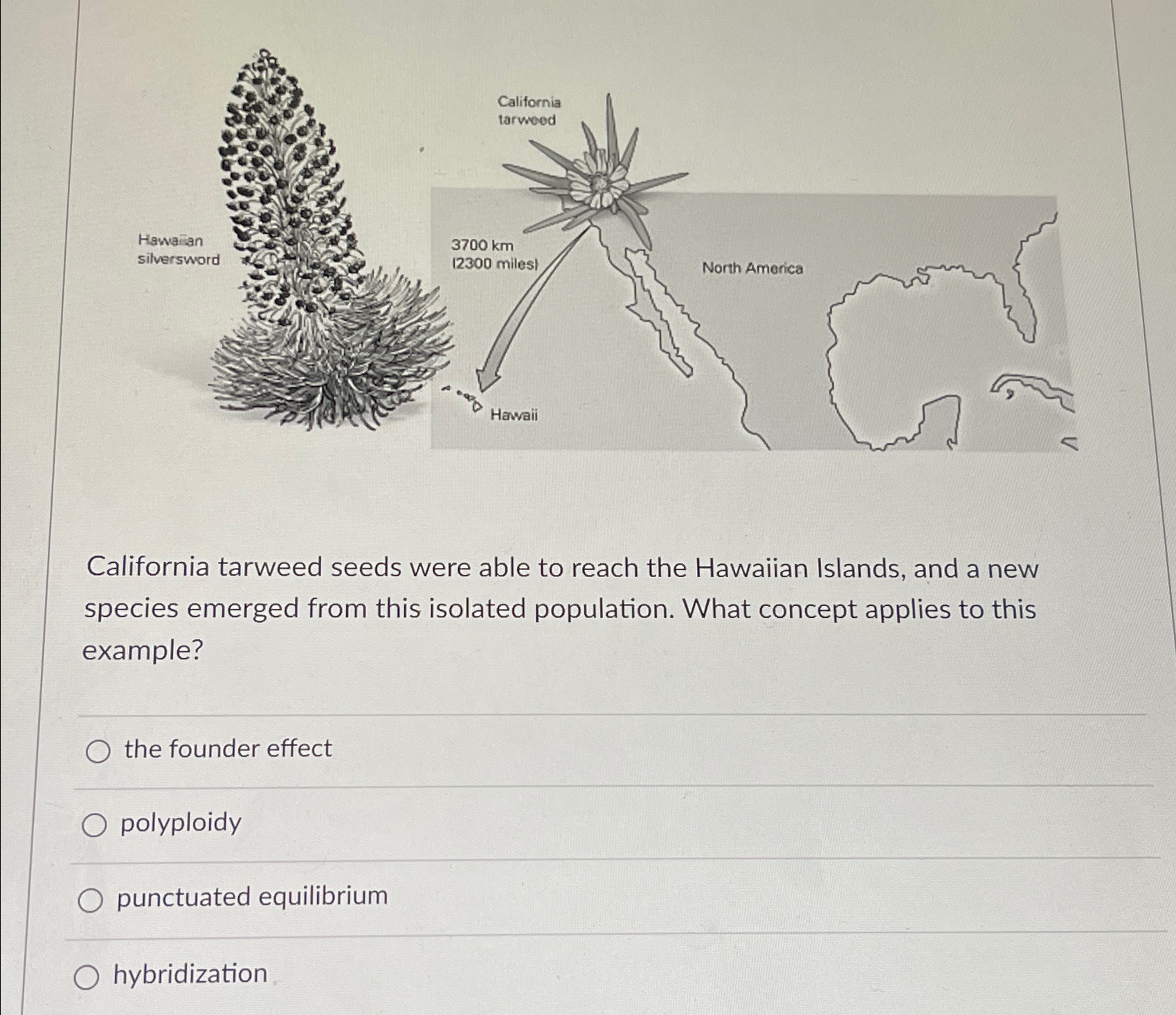 Solved California tarweed seeds were able to reach the | Chegg.com