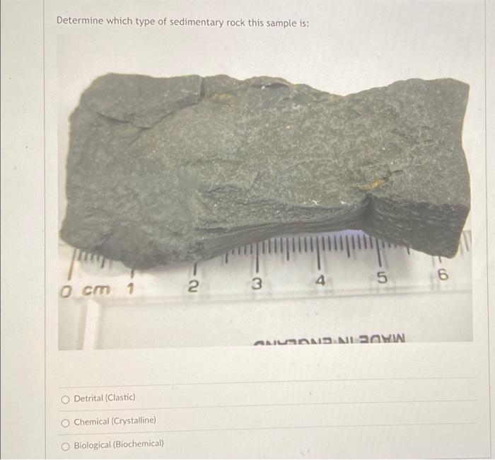 Solved Name this Sedimentary Rock: This sample has a | Chegg.com