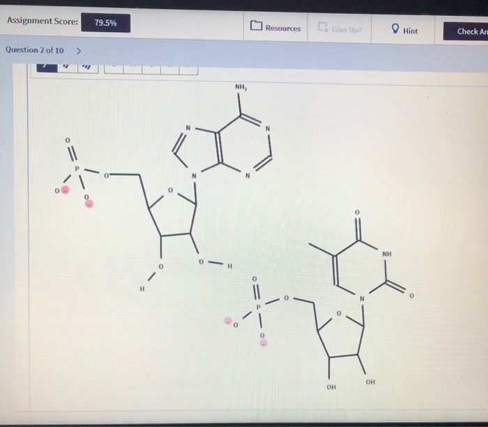 Solved Question 2 of 10 > The nucleotides adenosine 5'- | Chegg.com
