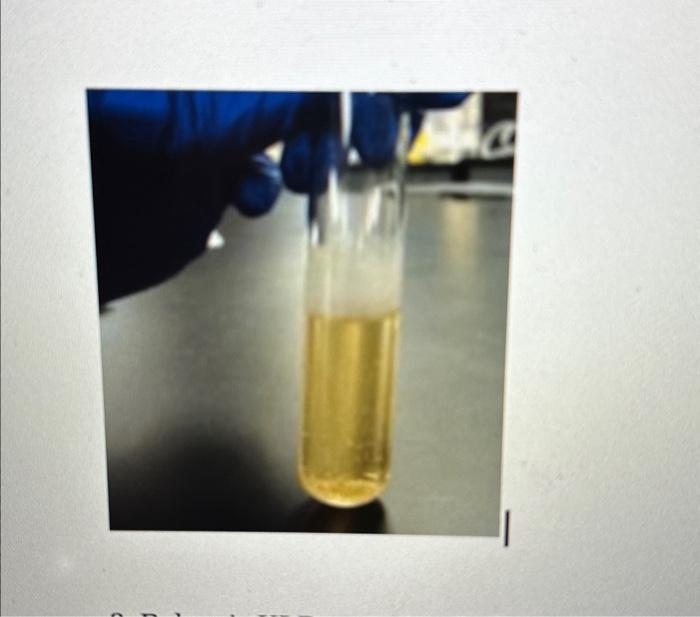 Solved describe the results seem here, assume when you move | Chegg.com