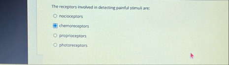 Solved The receptors involved in detecting painful stimuli | Chegg.com