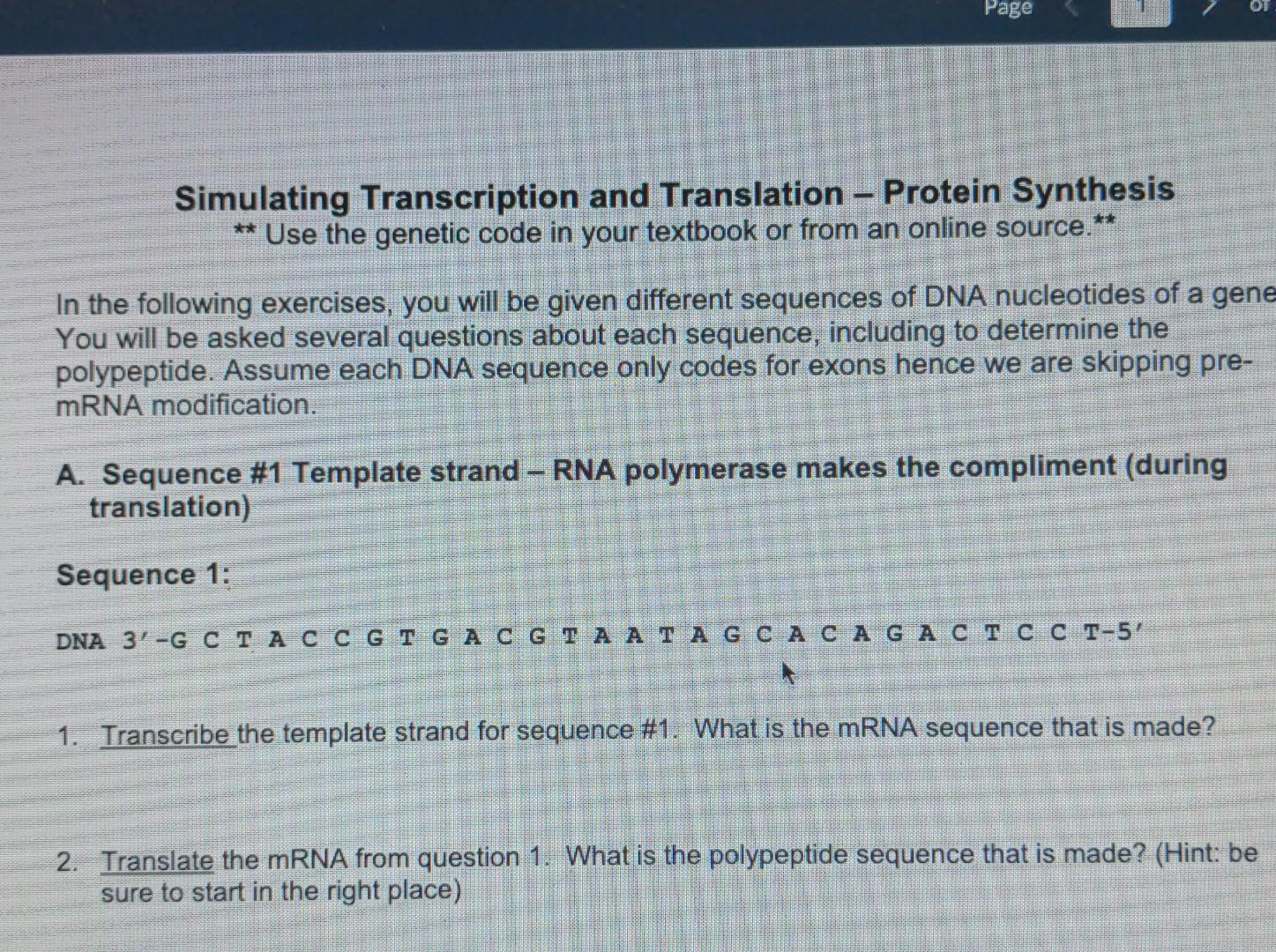Solved Page Simulating Transcription and Translation - | Chegg.com