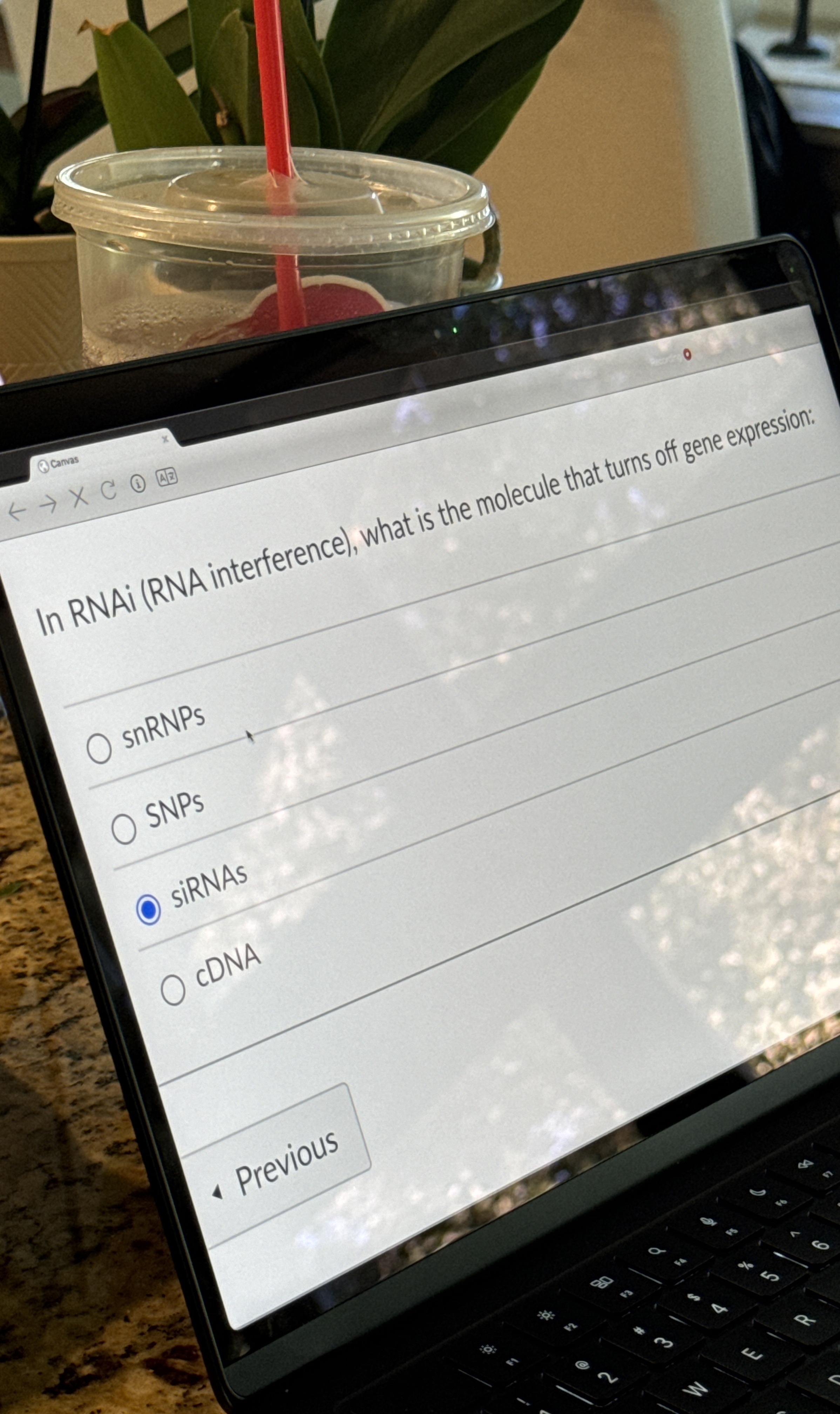 Solved In RNAi (RNA interference), ﻿what is the molecule | Chegg.com