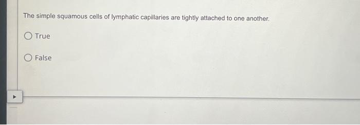 Solved The simple squamous cells of lymphatic capillaries | Chegg.com