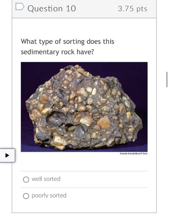 Question 10 What type of sorting does this | Chegg.com