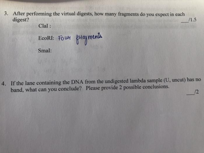 Solved 2. What are the recognition sequences for Clal, EcoRI | Chegg.com