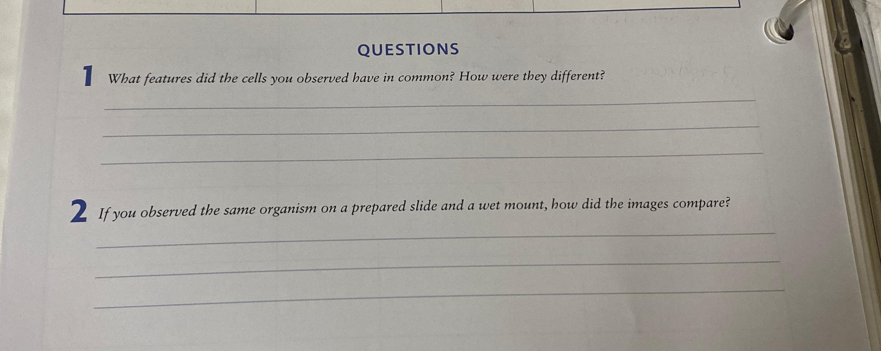 Solved QUESTIONS1 ﻿What features did the cells you observed | Chegg.com