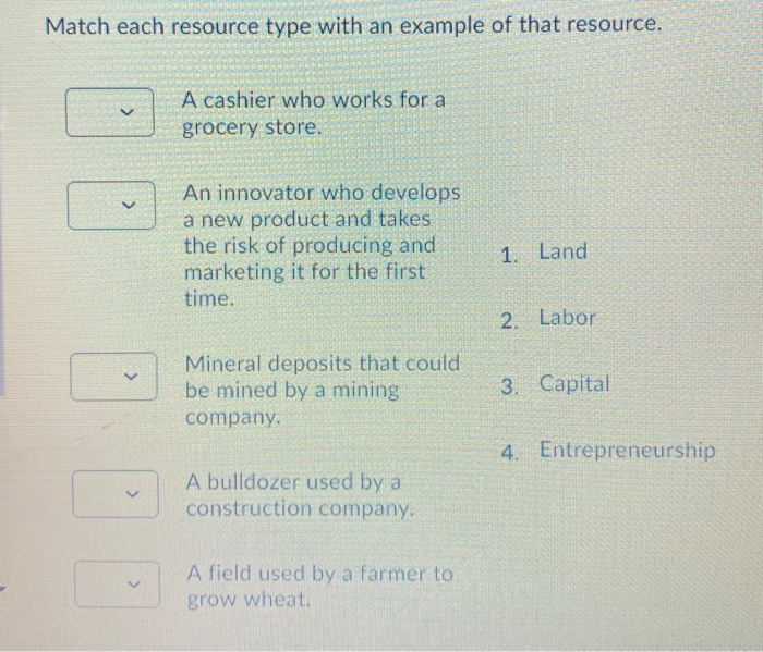 Solved Match each resource type with an example of that | Chegg.com