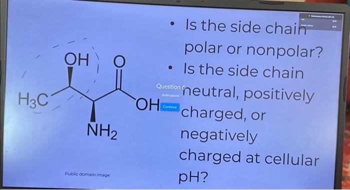 Solved Is the side chain polar or nonpolar? Is the side | Chegg.com