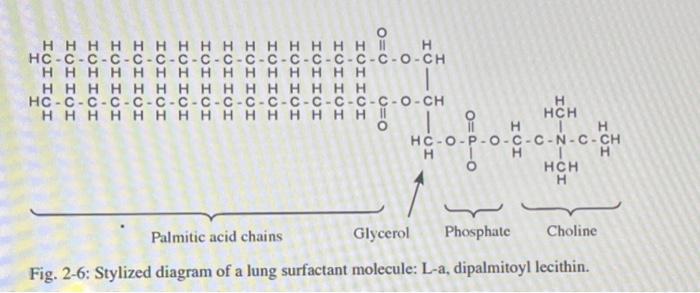 Solved Fig. 2-6: Stylized diagram of a lung surfactant | Chegg.com