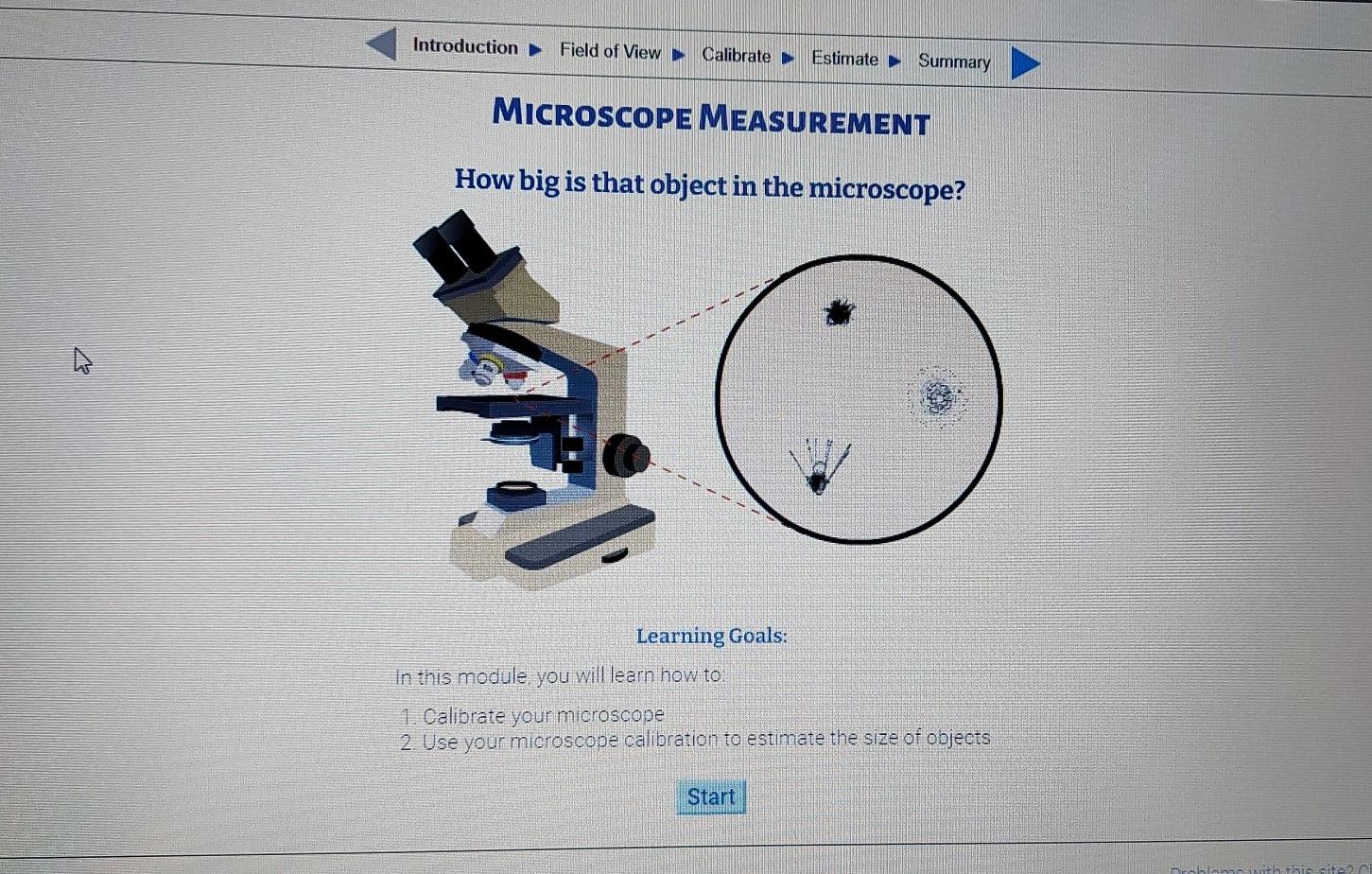 Solved Estimating Object Size оо 1 juvenile 2 larva 3 embryo | Chegg.com