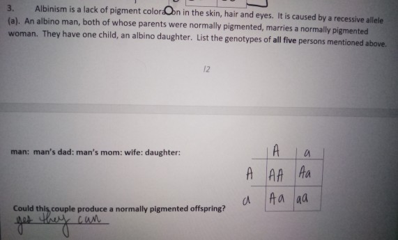 Solved 3. Albinism is a lack of pigment color on in the | Chegg.com