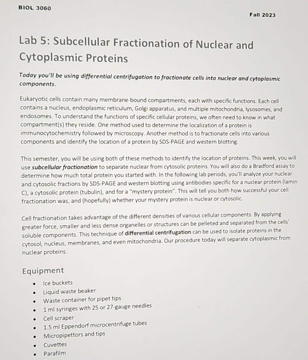 Solved Below, list at least two examples of proteins you | Chegg.com