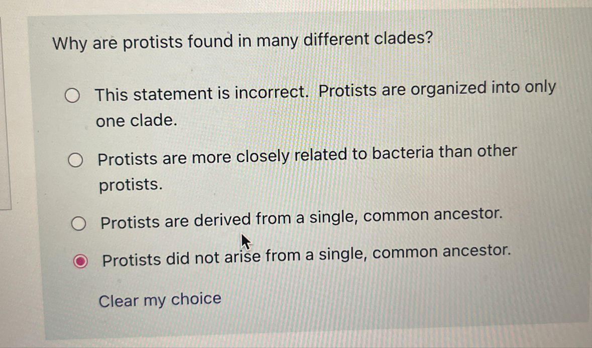 Solved Why are protists found in many different clades?This | Chegg.com