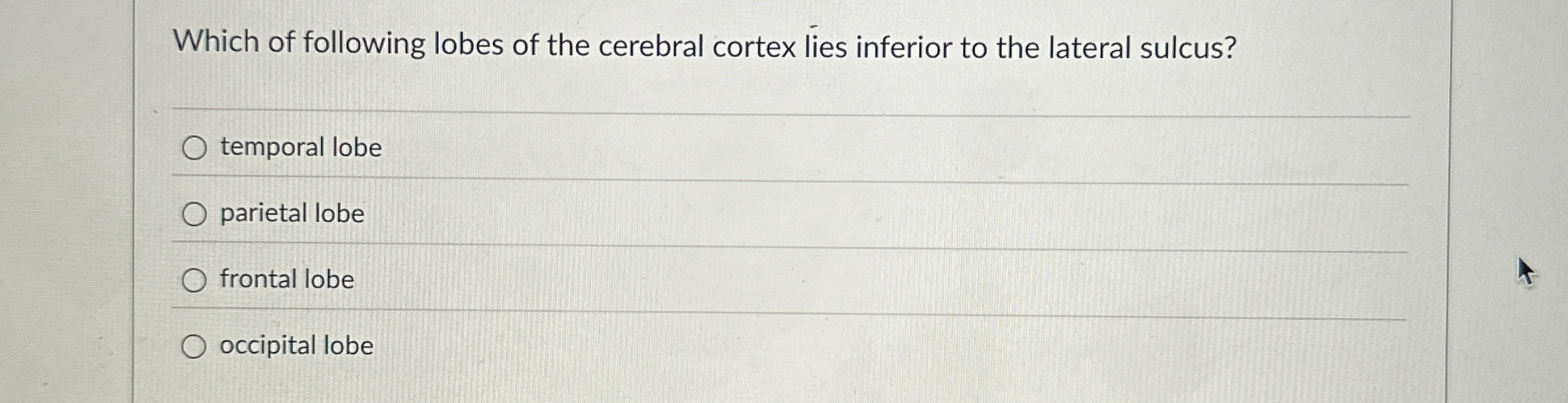 Solved Which of following lobes of the cerebral cortex lies | Chegg.com