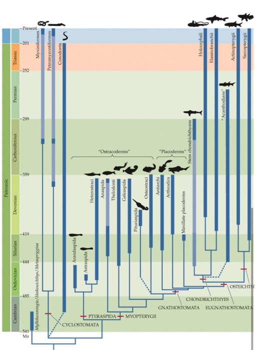 Solved Paleozoic Cambrian Ordovician Silurian Devonian | Chegg.com