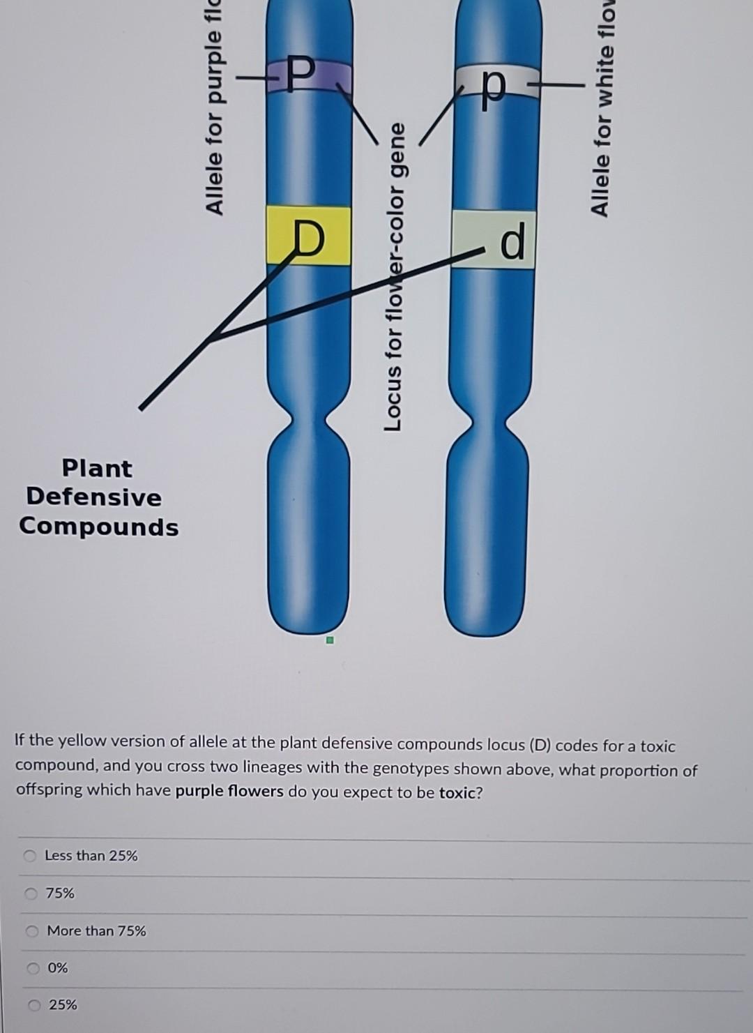Solved If the yellow version of allele at the plant | Chegg.com